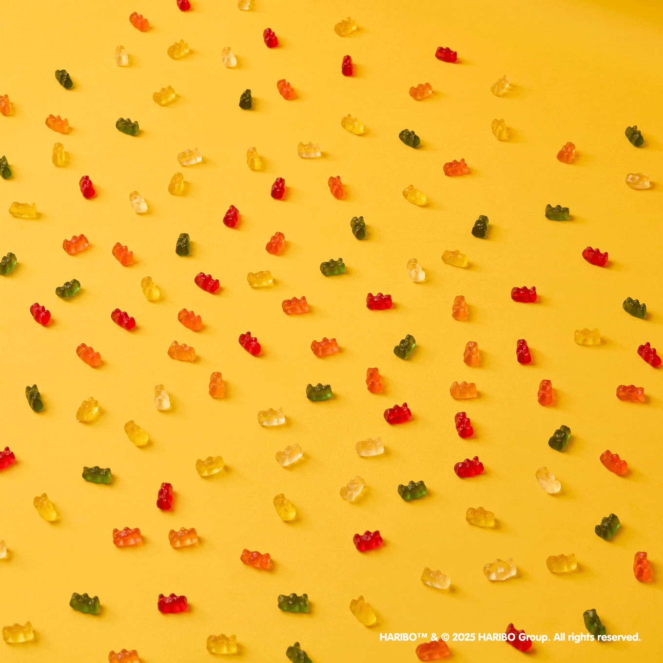 HARIBO強化瓷點心盤19.5cm 藍｜餐茶用具｜HOLA 和樂家居